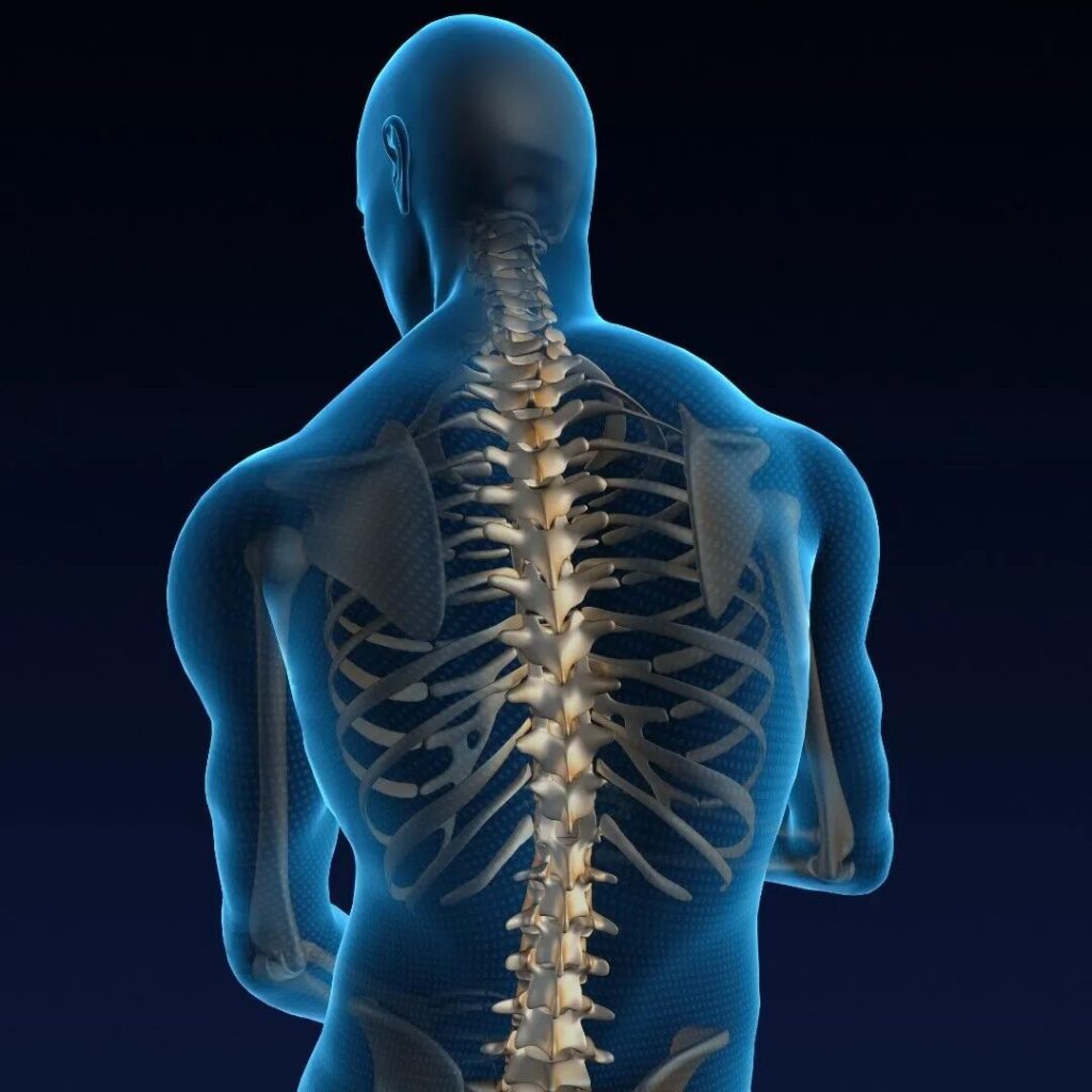Unveiling the Secret: Posture's Impact on Spinal Health