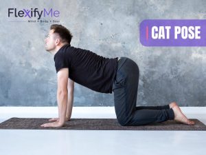 Cat Cow Pose: 10 Benefits, How-To Guide & Expert Tips