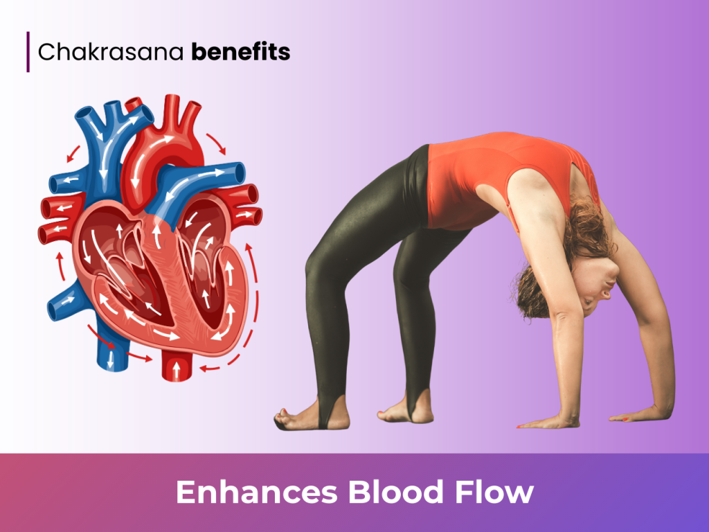 Top 6 Health Benefits of Chakrasana (Wheel Pose) & How to Do It?