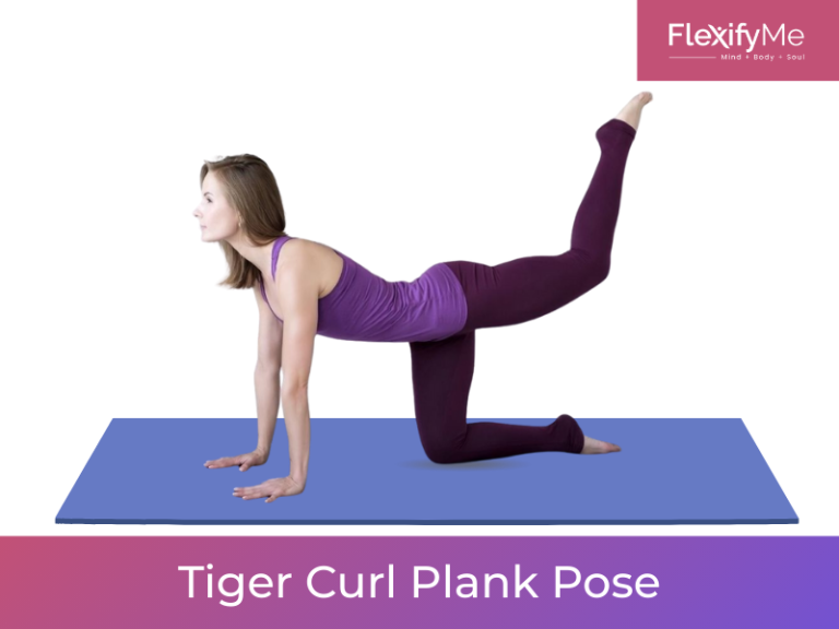 Plank Pose (Phalakasana): Benefits | steps | Variations