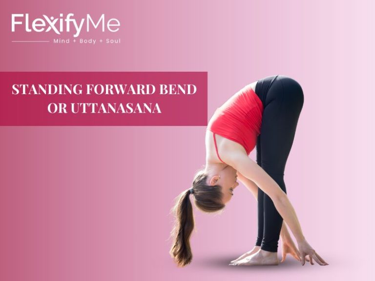 12 best Yoga Poses for Beginners: A General Guide