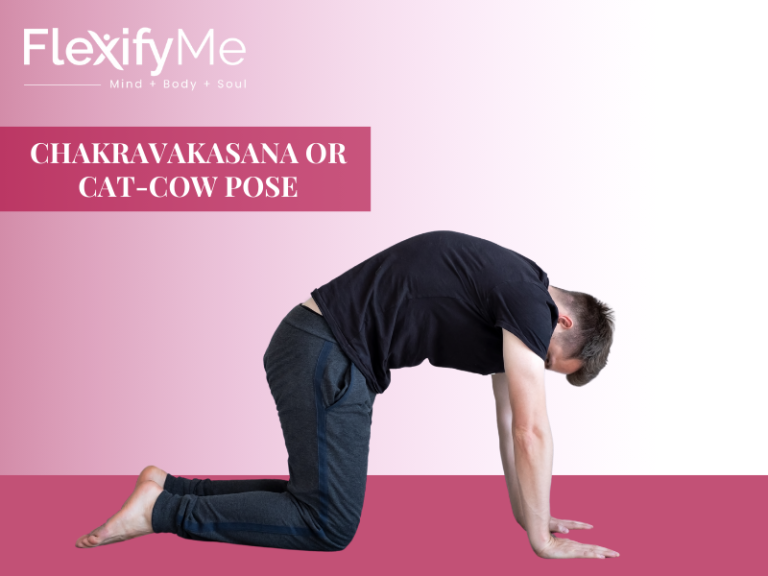 6 Yoga poses for lower Back Pain & Physiotherapy Excercises